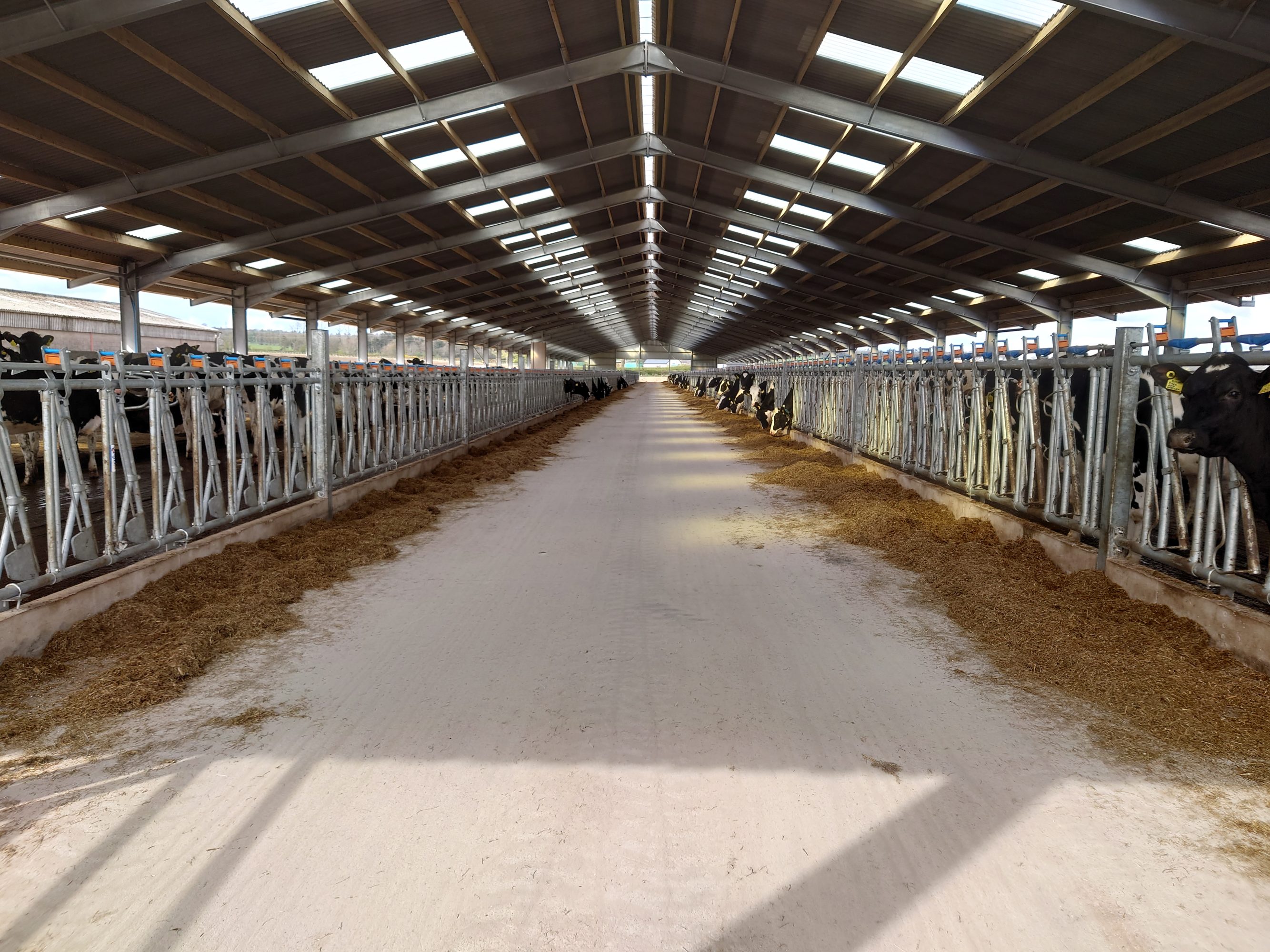 Dairy Unit, Dumfries & Galloway - Robinsons Group Steel Construction